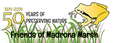 Hours of Operations and Schedule of events for the Madrona Marsh in Torrance