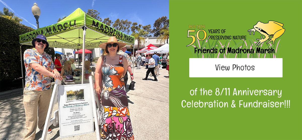 Friends of Madrona Marsh Preserve in Torrance