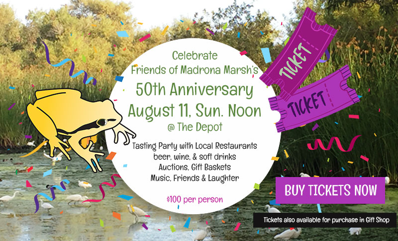 Friends of Madrona Marsh Preserve in Torrance