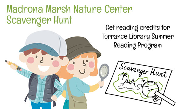 Friends of Madrona Marsh Preserve in Torrance