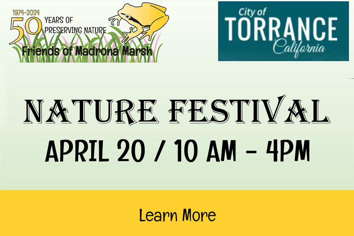 Friends of Madrona Marsh Preserve in Torrance